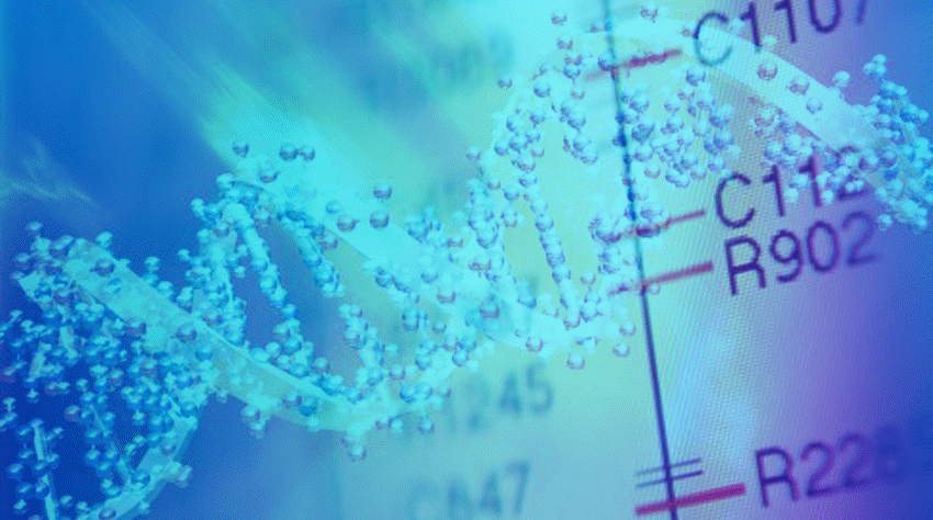 Evolutionary Bioinformatics