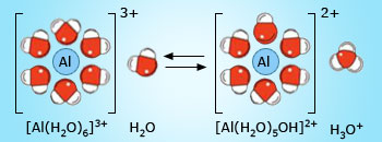 Examples of acidic salt solutions
