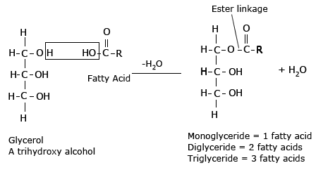 Effects of oxidation reactions